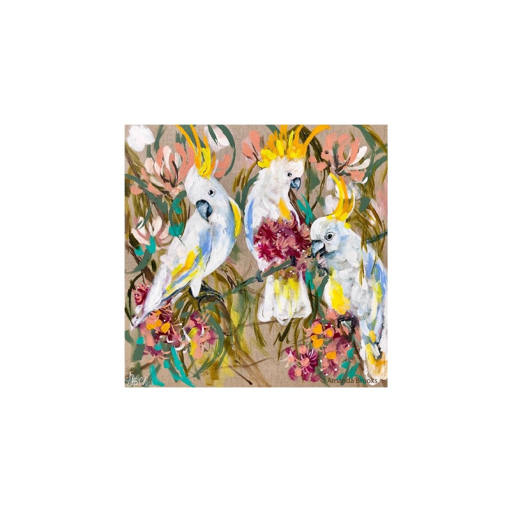 amanda brooks coasters